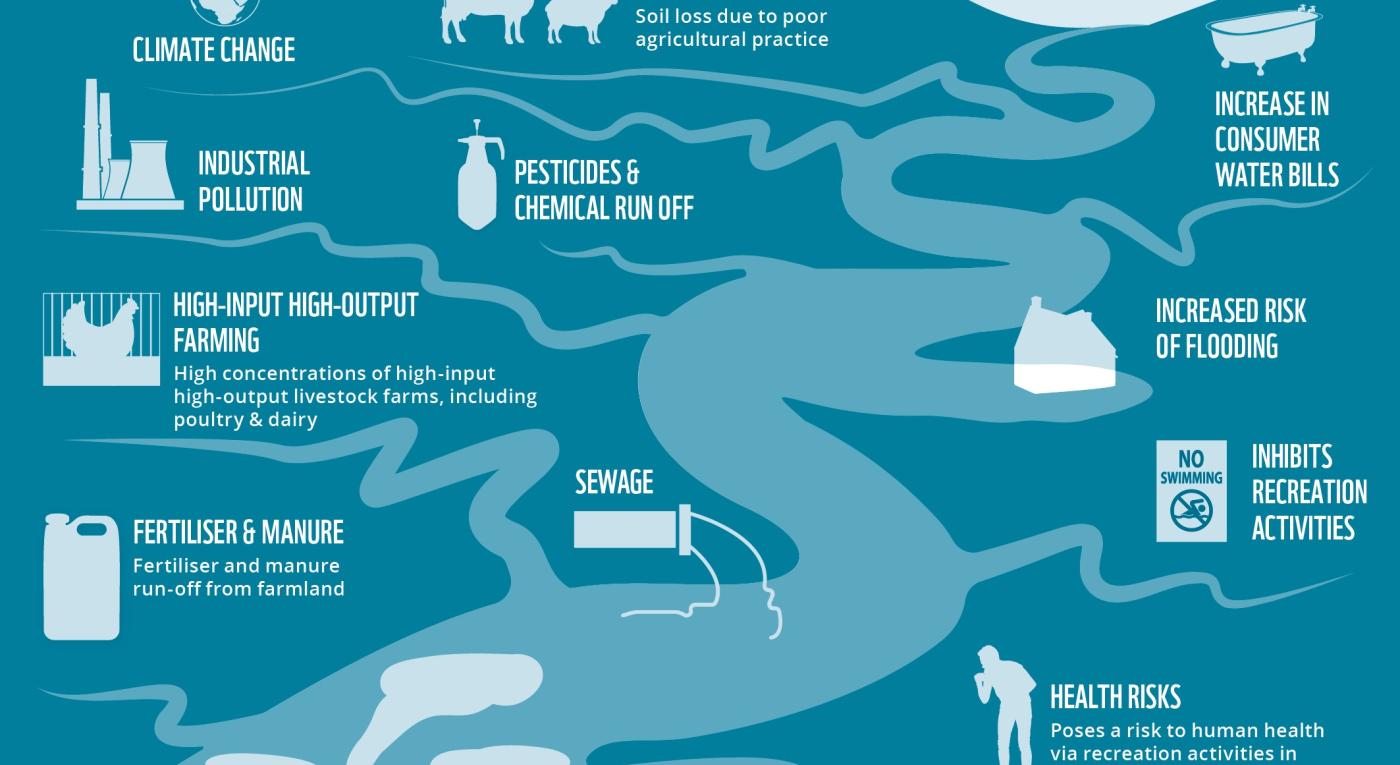 WWF Cymru rivers infographic_eng | WWF